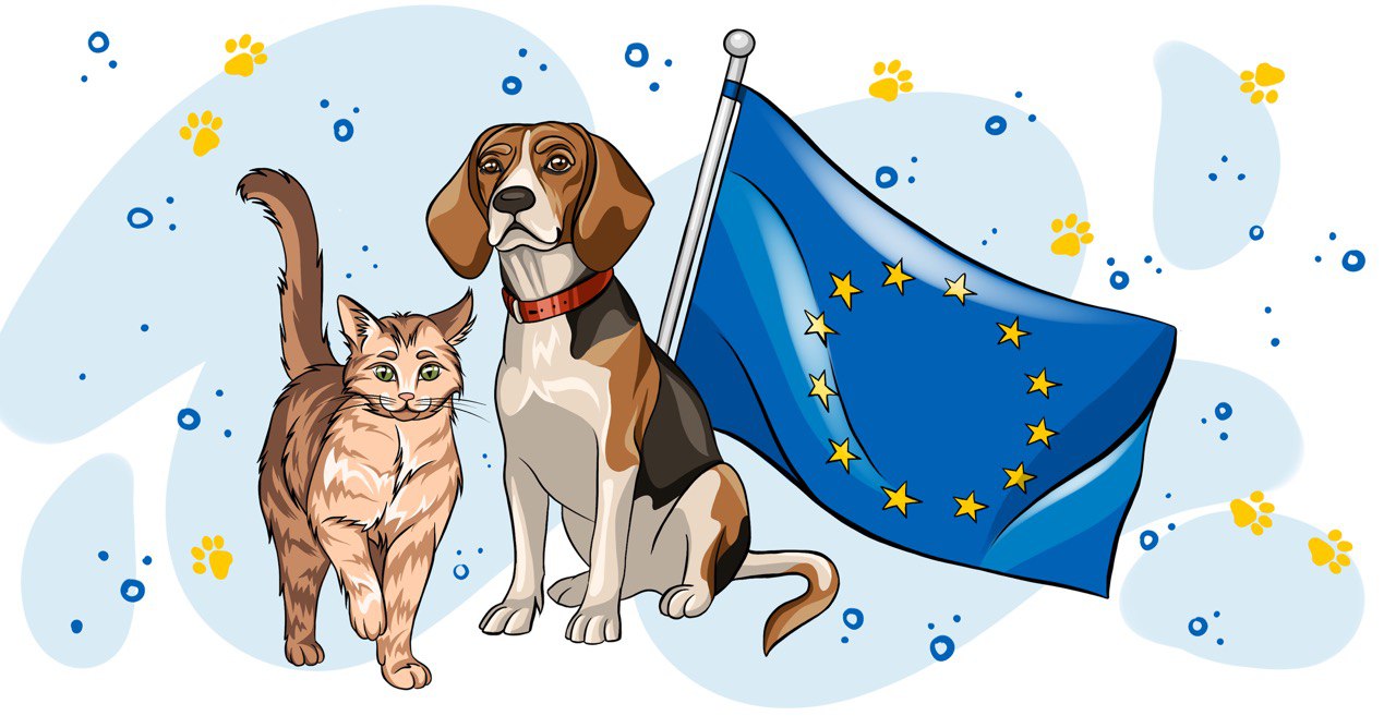 Transport your pet to European Union countries Deloropets